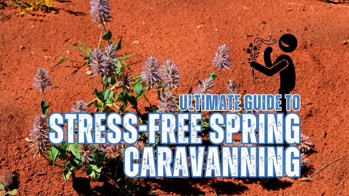 Ultimate Guide to Stress-Free Spring Caravanning - VanGard Protection